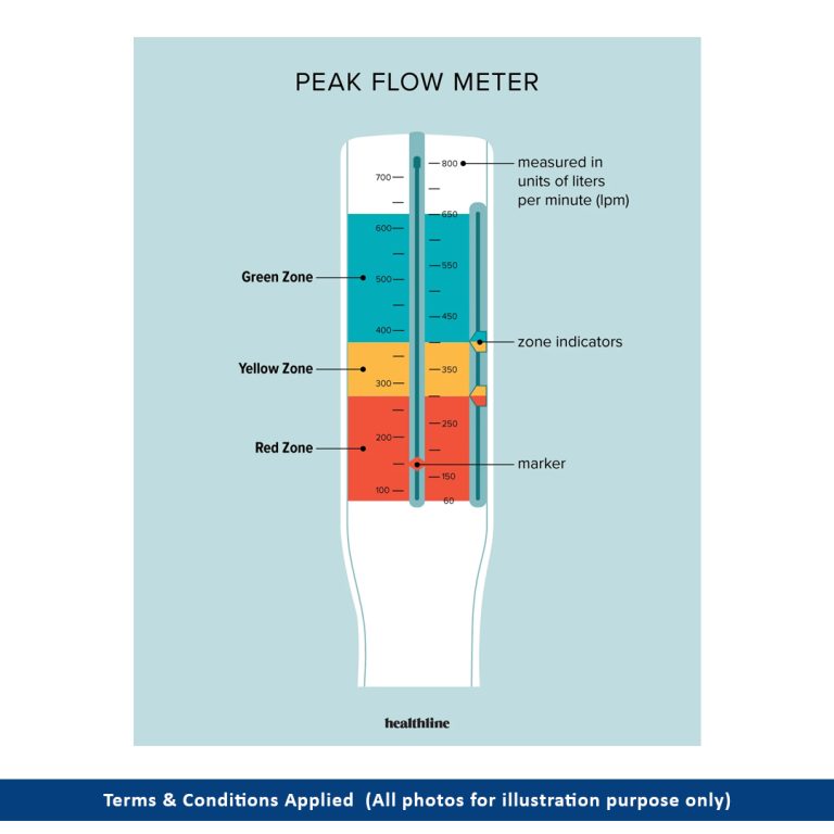 Philips Peak Flow Meter 2 – Respimedic